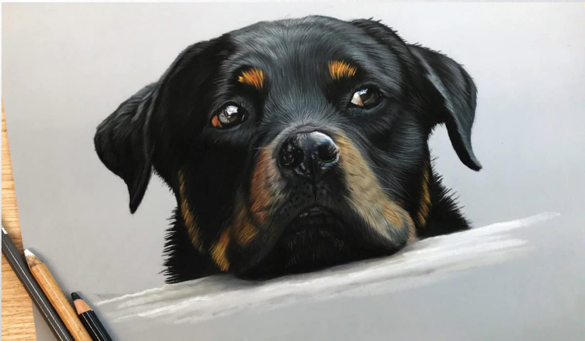 Hond Tekenen: Makkelijk en Schattig Stap voor Stap