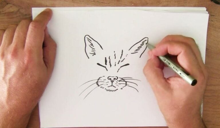 Kat en hond tekenen: makkelijke tips voor beginners
